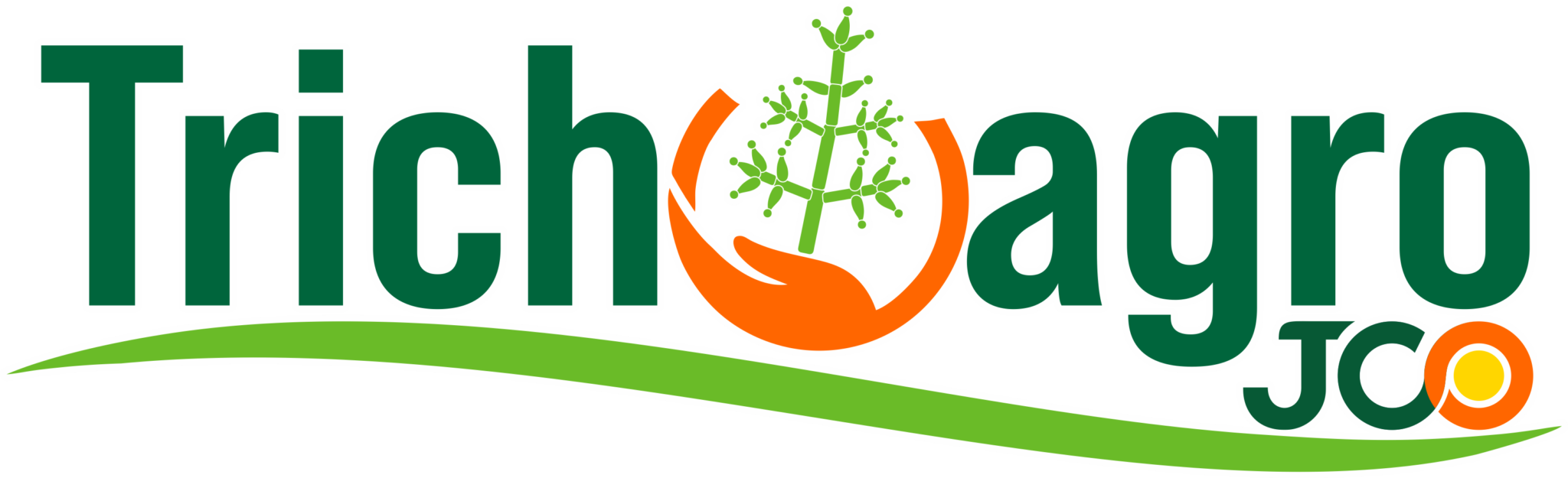 Fungicidas: O que é, e como usá-los de forma eficaz