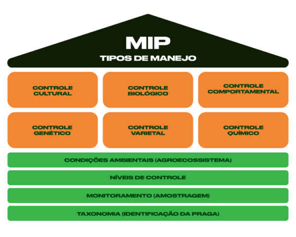 MIP manejo integrado de pragas: conheça mais esse sistema